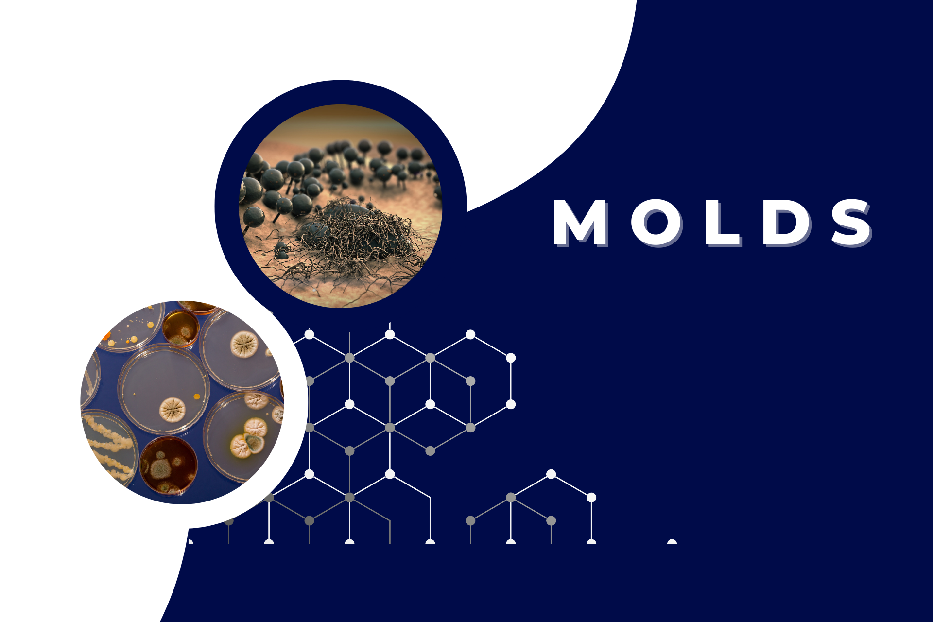 KU Bioresource Online Database